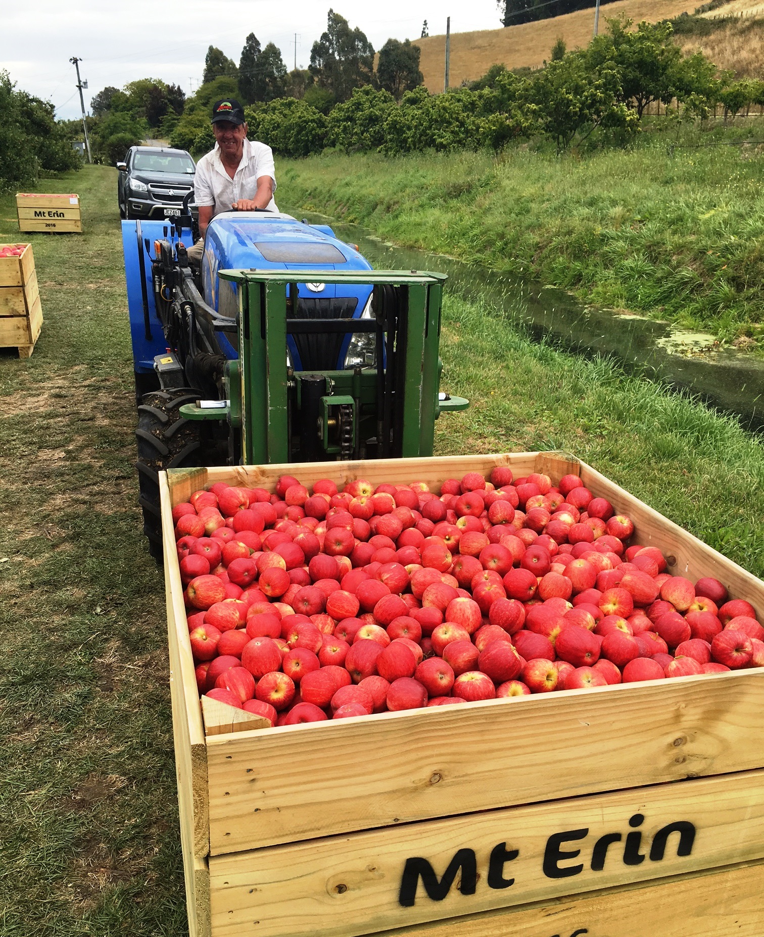 Waima Fruit Company – Mark & Leah Ericksen | Mt Erin Group